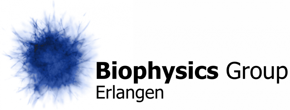 Ben Fabry – Biophysics Group